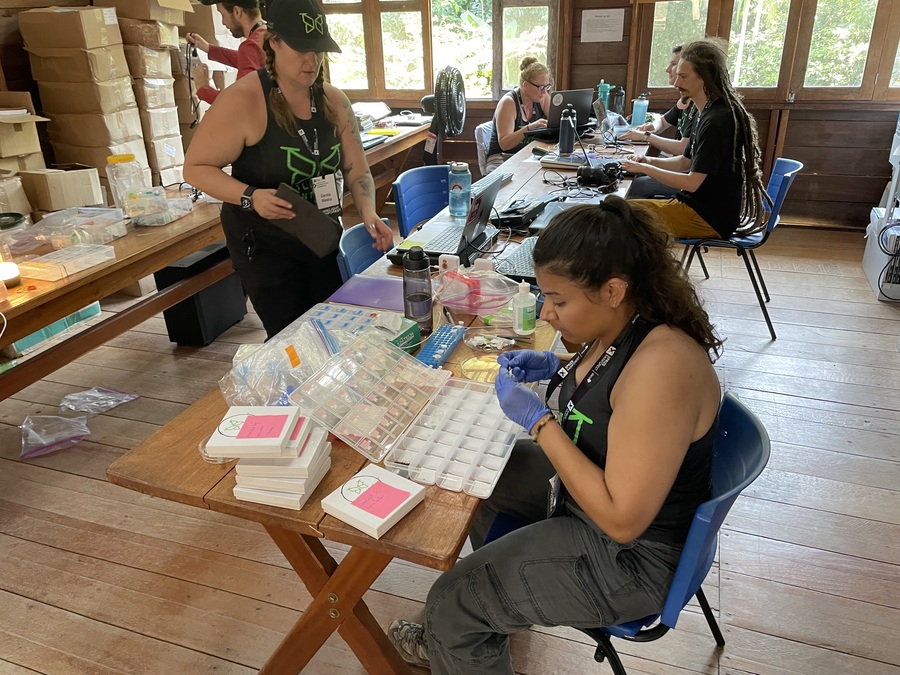 A race to map the rainforest: How a University of Nevada Ph.D. helped win the $10M XPRIZE ...